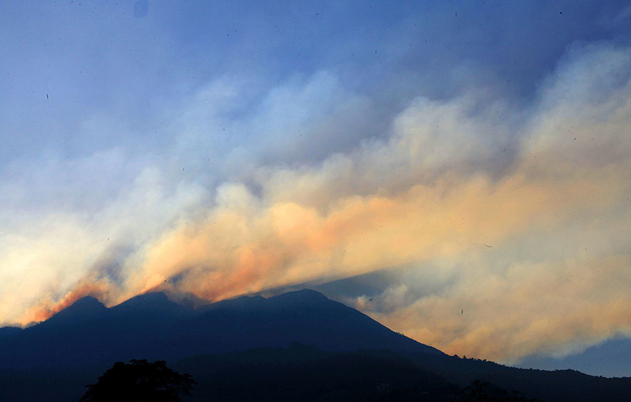 BNPB: Hutan Gunung Slamet dan Lawu Masih Terbakar BNPB: Hutan Gunung Slamet dan Lawu Masih Terbakar