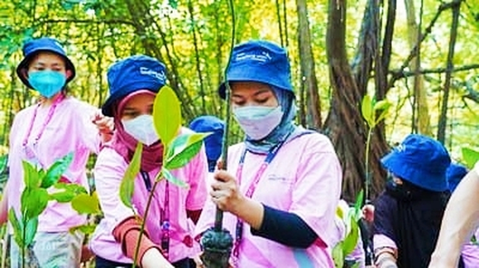 Perubahan Iklim, Sangsang Univ Indonesia dan KT&G Tanam Bibit Bakau di ... Perubahan Iklim, Sangsang Univ Indonesia dan KT&G Tanam Bibit Bakau di ...