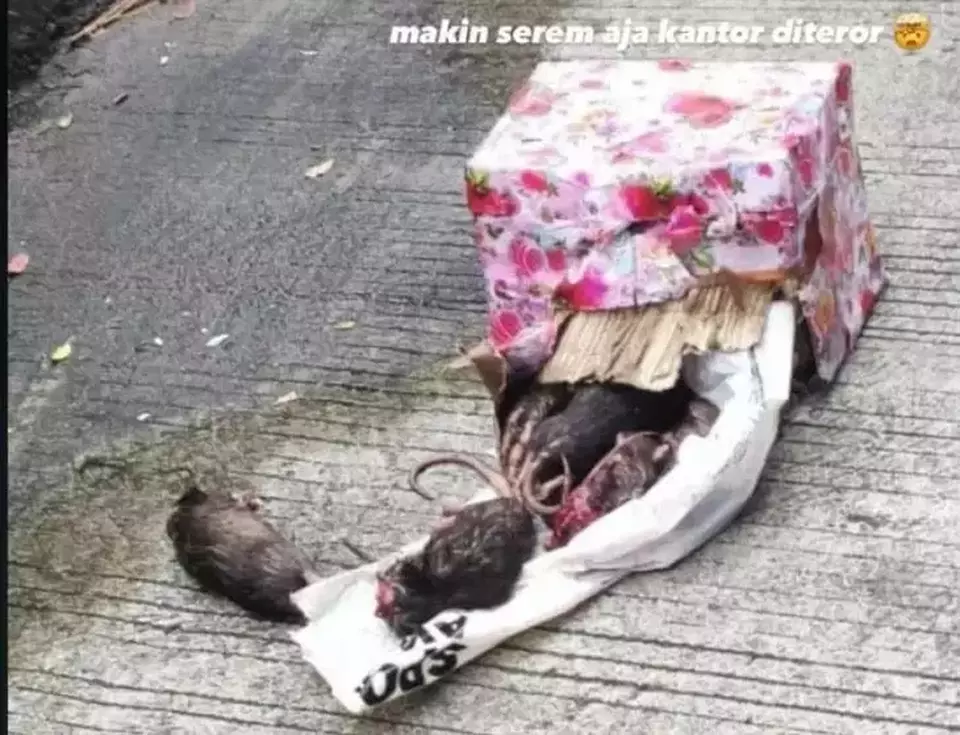 Setelah Teror Kepala Babi, Tempo Kini Dikirim Bangkai Tikus Dipenggal