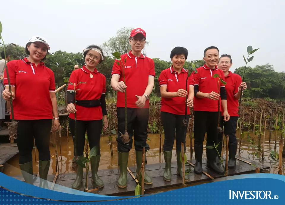 Gandeng Mangrove Jakarta Community, OCBC Indonesia Tanam 5000 Mangrove Gandeng Mangrove Jakarta Community, OCBC Indonesia Tanam 5000 Mangrove